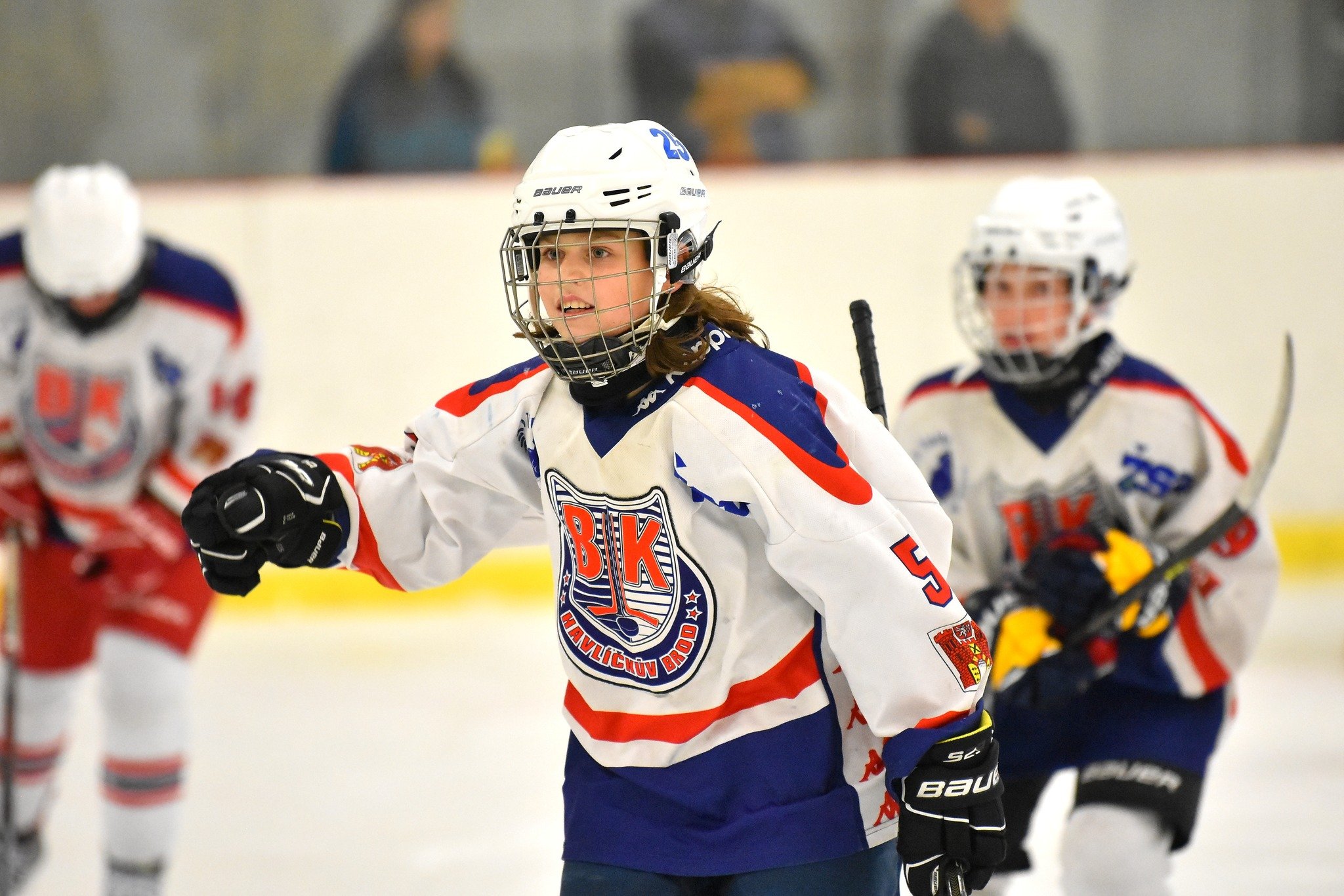 Reportáž ze zápasu: Havlíčkův Brod - Vlašim 10:3 - Po dvou remízách ...
